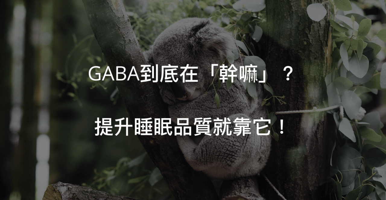 GABA幹嘛？帶你深入了解GABA功效與注意事項 - 若葉生醫